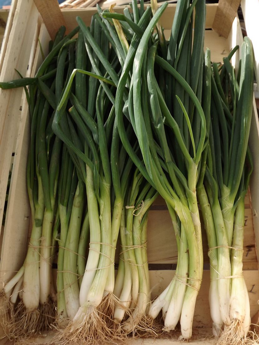 Légumes : Vente directe producteur